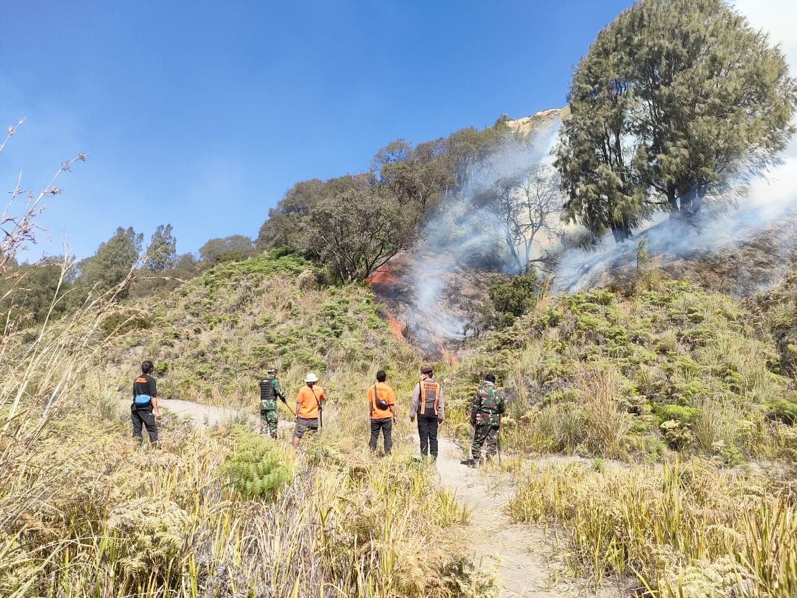 Koramil Sukapura Bantu Pemadaman di Gunung Batok - PENJURU.ID